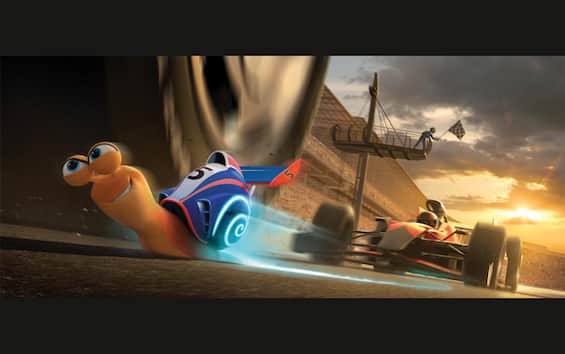 Turbo, una lumaca da corsa | Sky TG24
